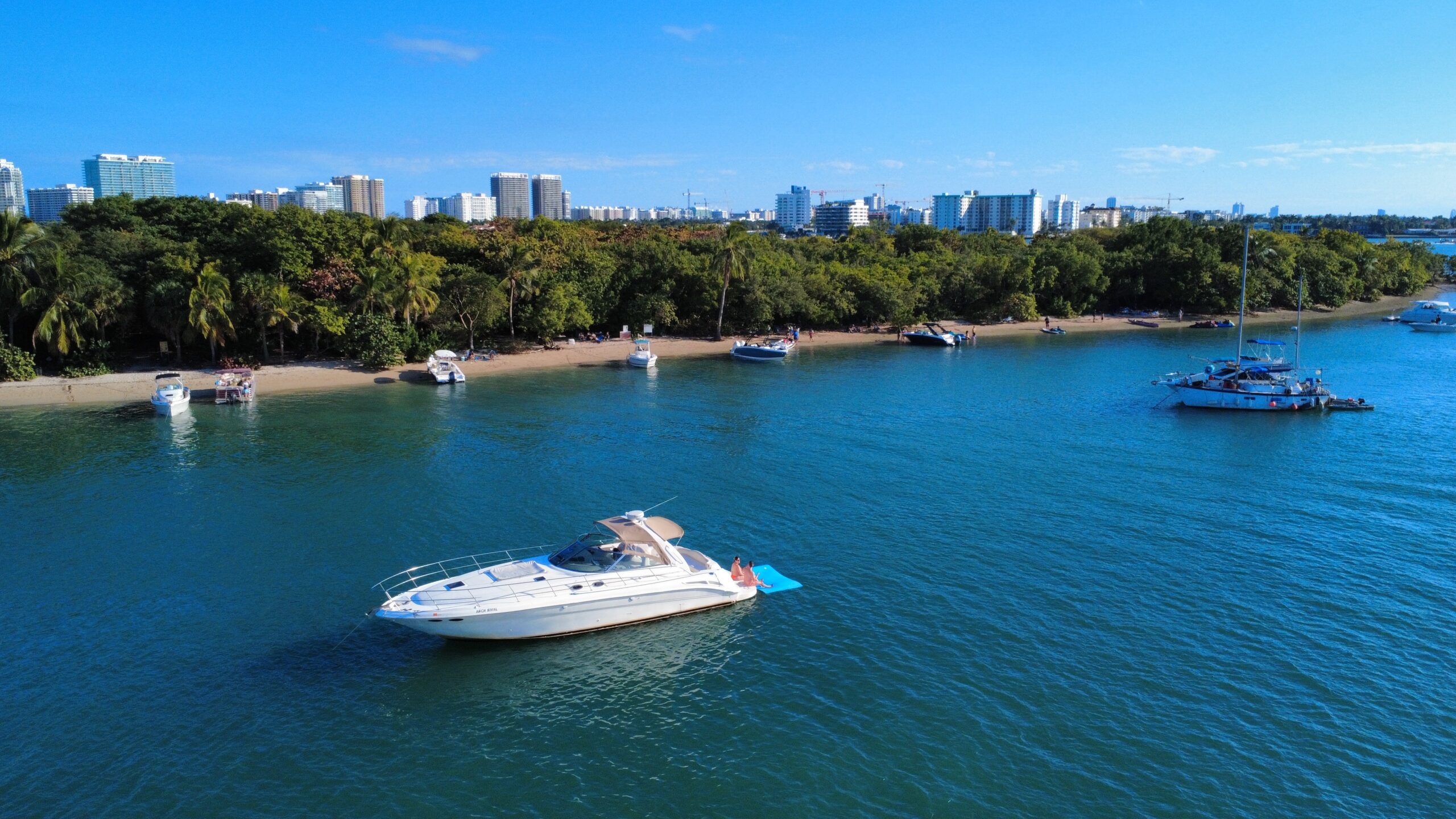 Sea Ray 45 - Dolphin